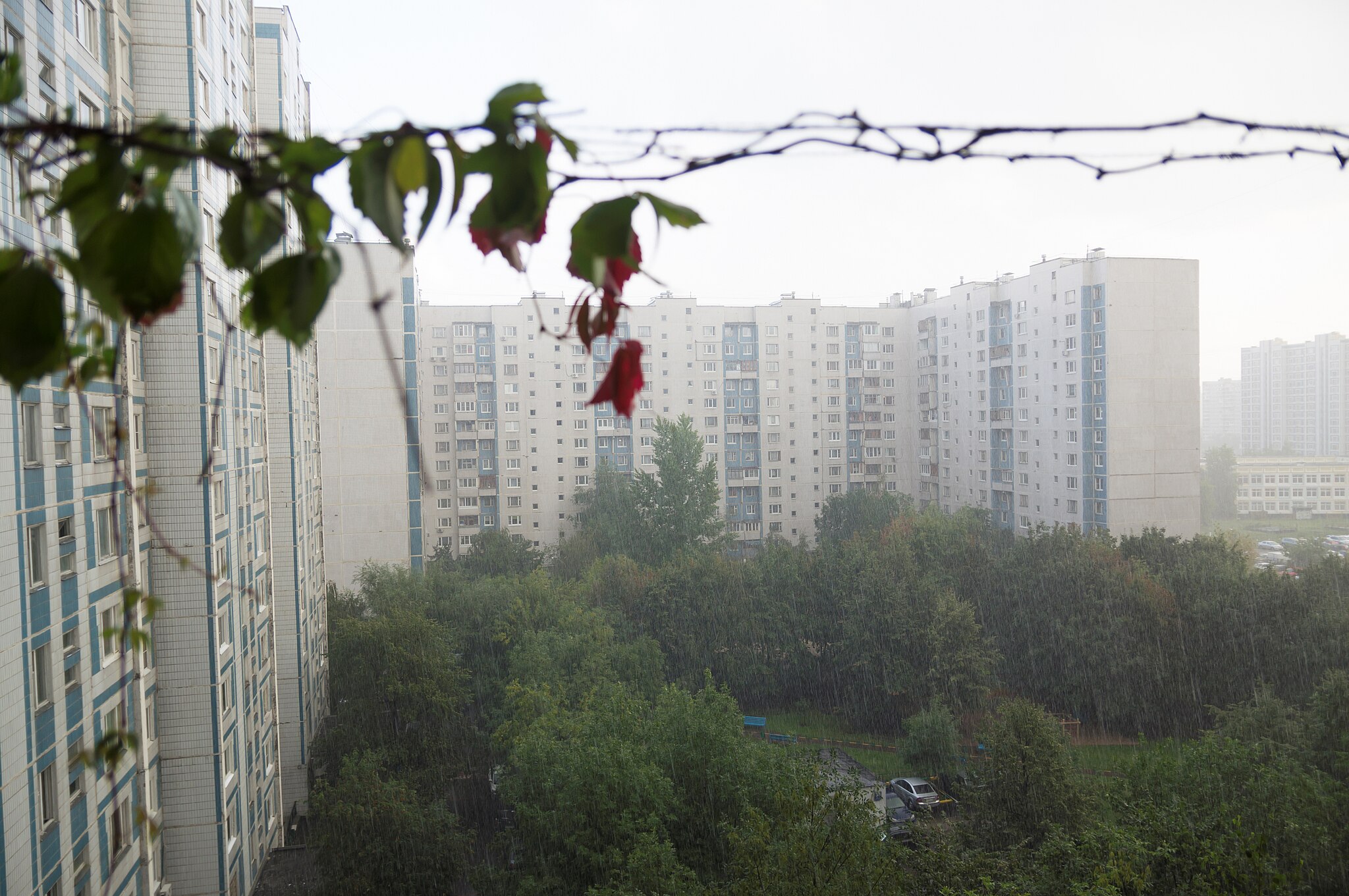 Four Poems by Samn Stockwell | Mid-Atlantic Review